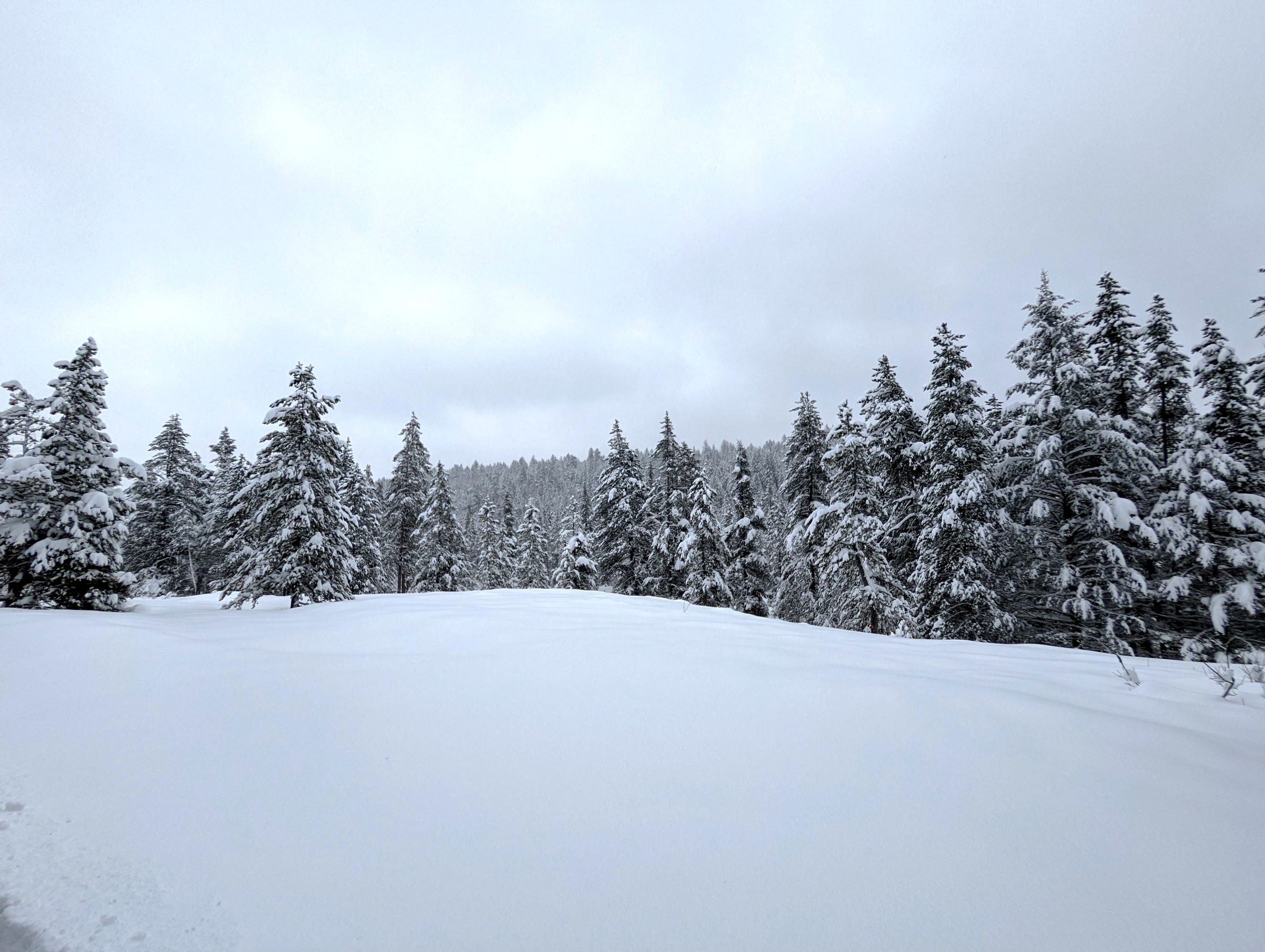 Christmas In July: Top Tips For Planning A Winter Getaway