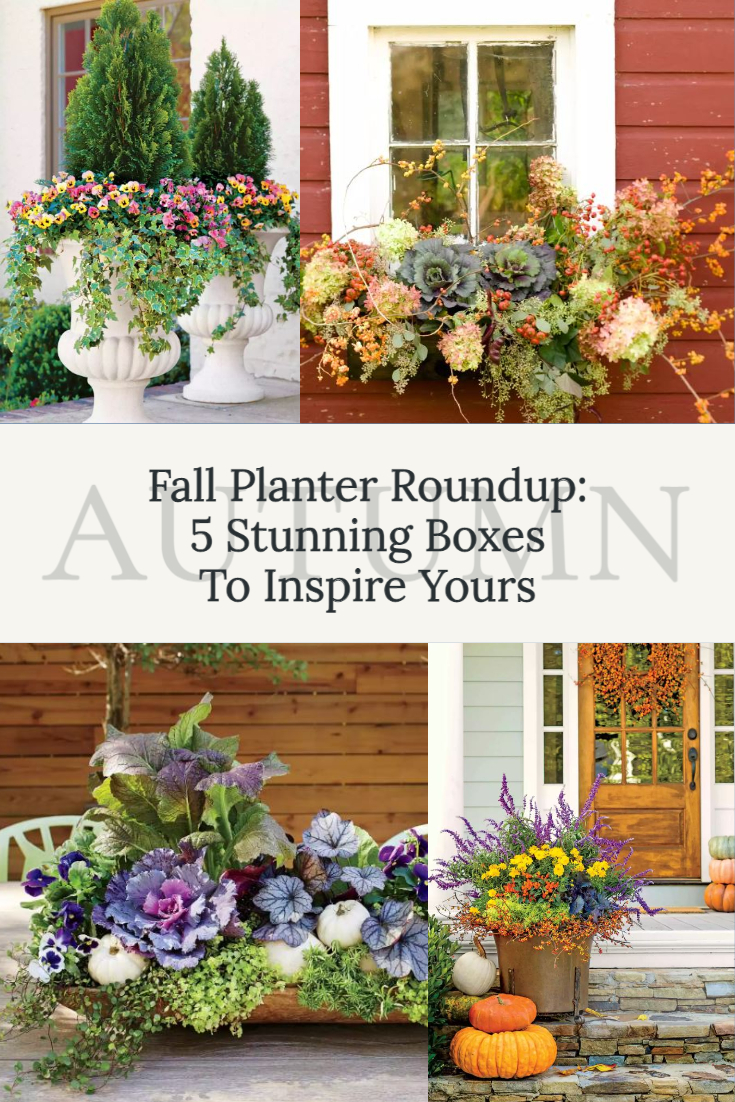 Fall Planter Roundup: 5 Stunning Boxes To Inspire Yours