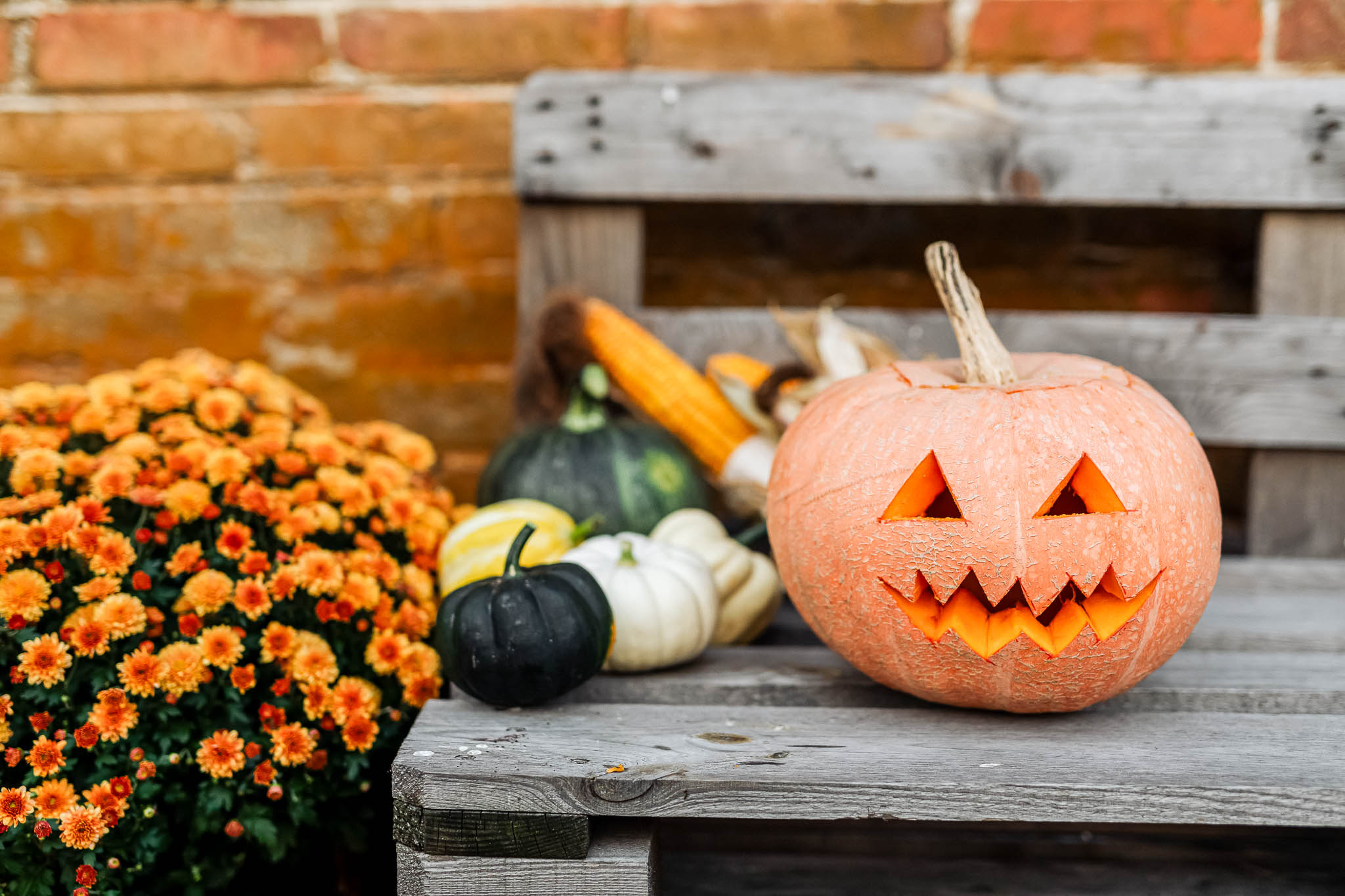 15 Ways To Slow Down And Enjoy Fall